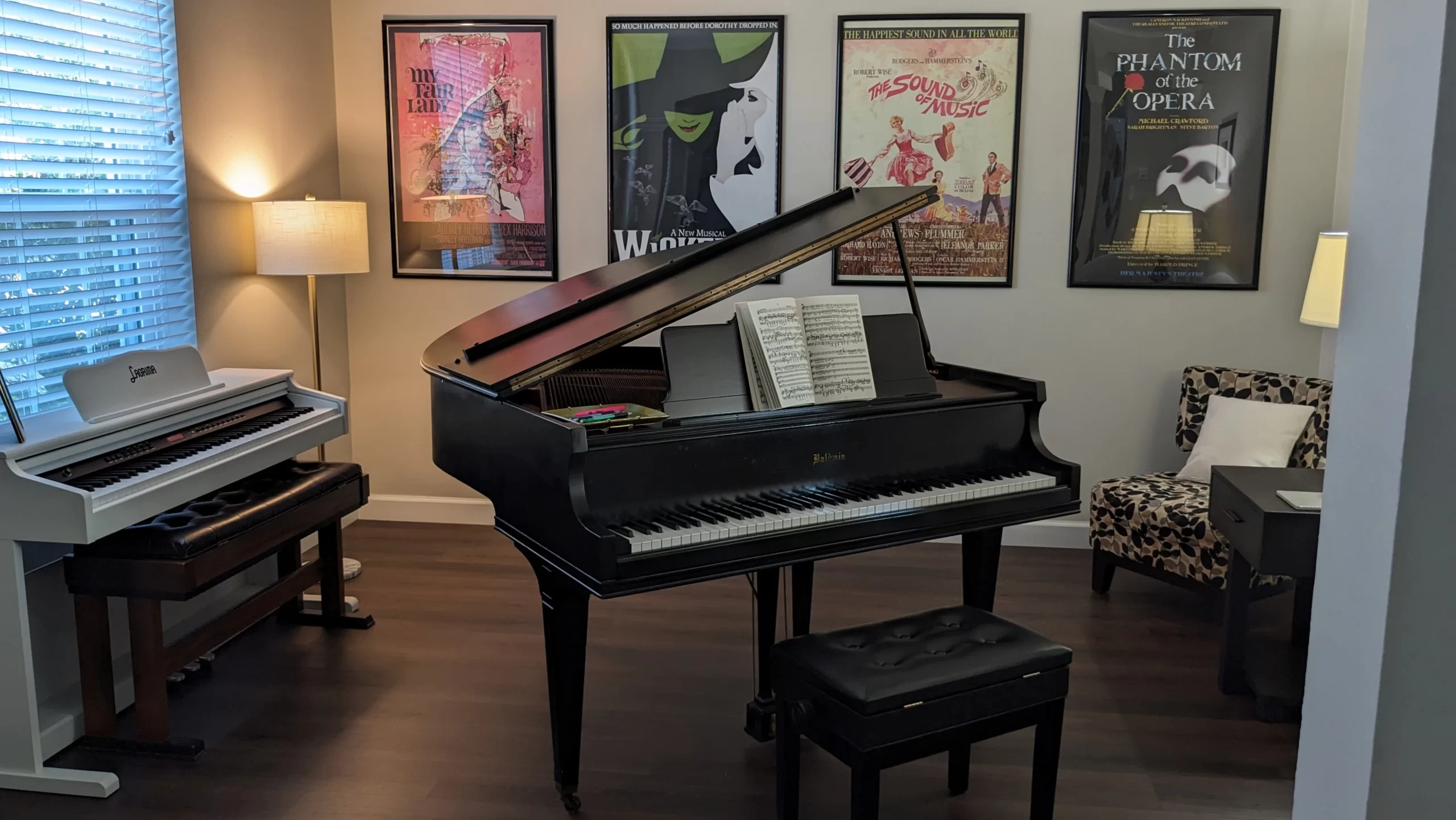 Voice Lessons - EmilyAnn Duffley